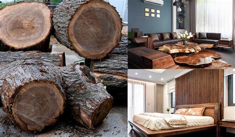 Vân Gỗ óc Chó Tìm Hiểu Các Loại Vân Gỗ óc Chó Hiện Nay Mộc Lê Gia