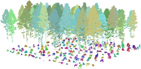 Identifying Regenerated Saplings By Stratifying Forest Overstory Using
