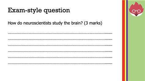 Aqa Gcse Biology The Brain Teaching Resources