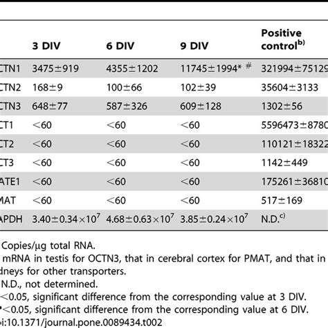 Functional Expression Of Octn1 In Mouse Cultured Cortical Npcs A