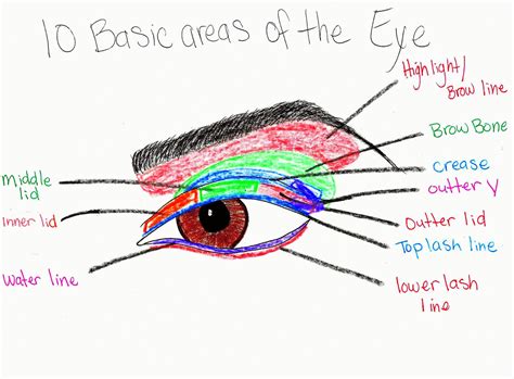 [diagram] Venn Diagram Makeup Mydiagram Online