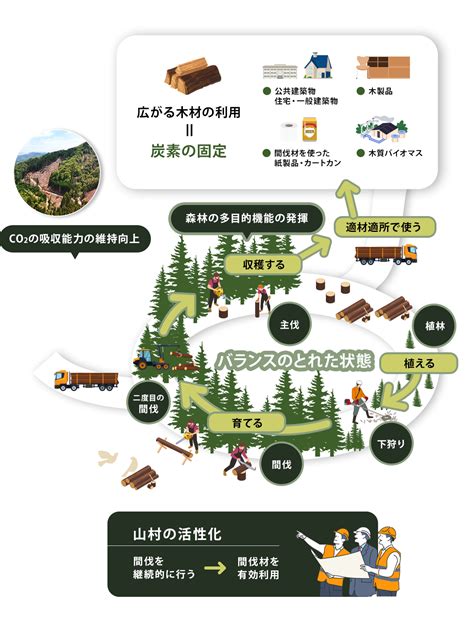 その他認証 ヤマサンTree Farm