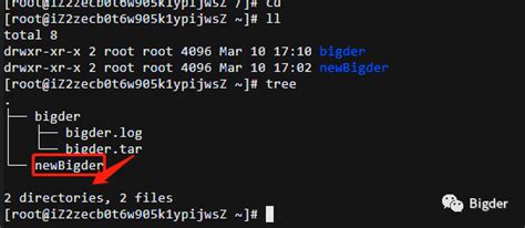 Linux打包解压文件-Exiting with failure status due to previous errors-CSDN博客