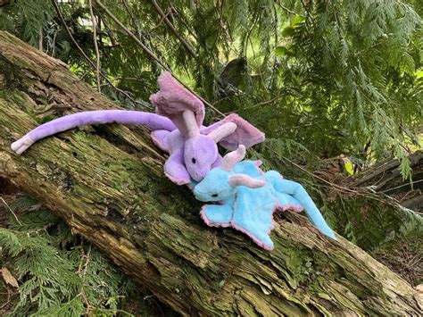 Fuzzy Dragons — Weasyl