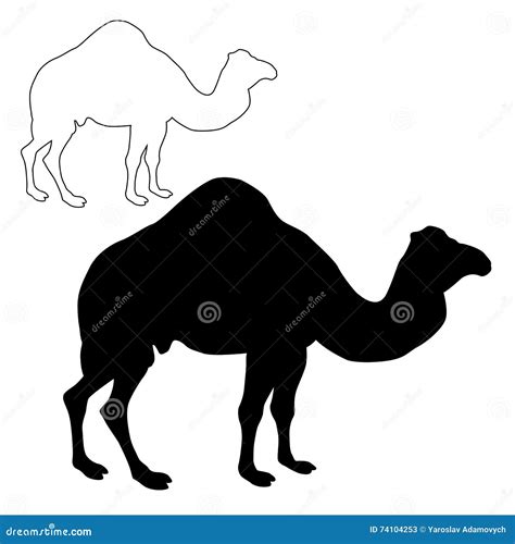现实骆驼剪影黑色集合 向量例证 插画 包括有 符号 东部 哺乳动物 剪影 象征 骆驼 设置 74104253