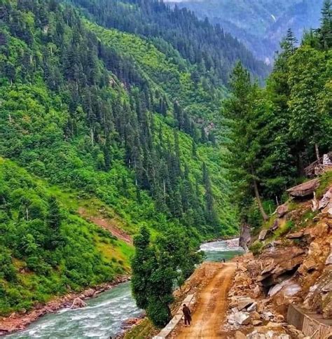 حمیداللہ سلیمان خیل