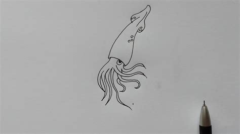 Cómo dibujar un calamar How to draw squid YouTube
