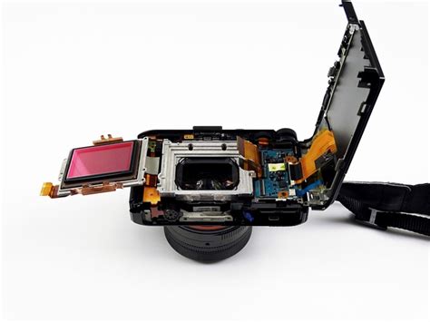 Knx Tactile Sensor Young Free Photo On Pixabay Pixabay