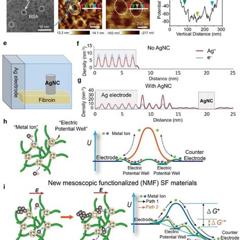 Xiaobing Yan Chinese Academy Of Sciences Beijing Cas