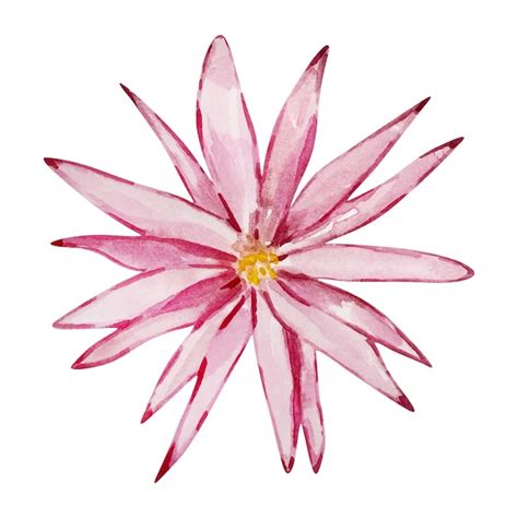 Premium Vector Watercolor Flower Cactus Desert Plants