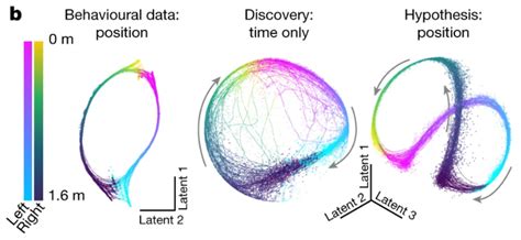 Learnable Latent Embeddings For Joint Behavioral And Neural Analysis Dynamical Inference Lab