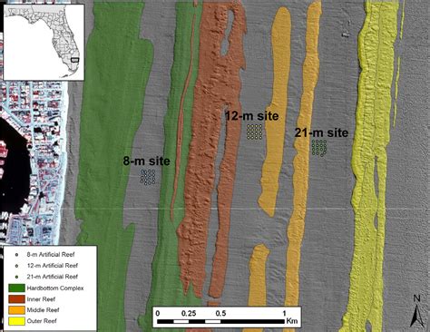 Figure 2 From Depth Variable Settlement Patterns And Predation