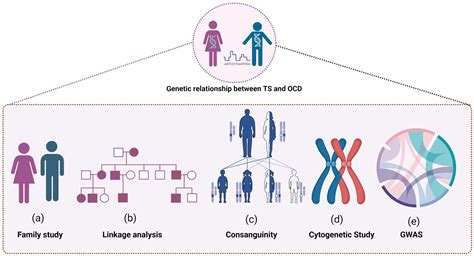 Frontiers The Shared Genetic Risk Factors Between Tourette Syndrome