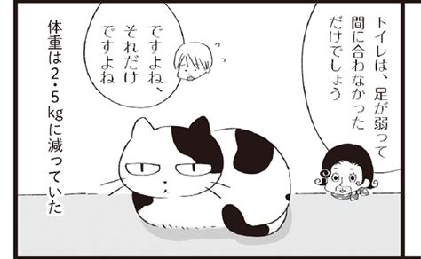 Php Php