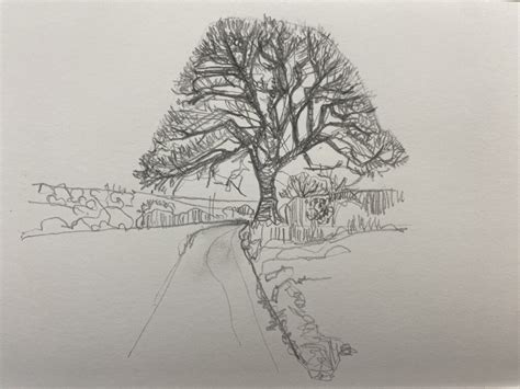 How To Draw A Tree Small