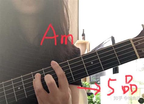 Am和弦大横按 千图网