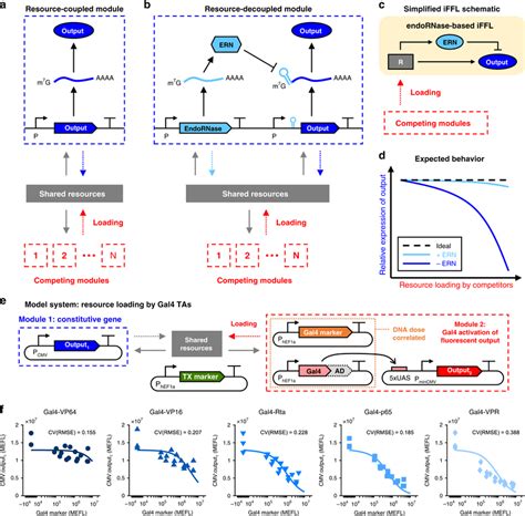 Feedforward Control Strategy To Decouple Modules That Share Limited