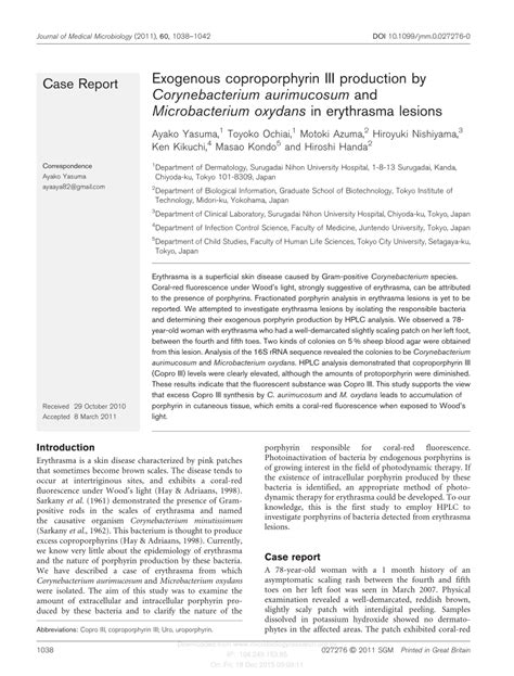 Pdf Exogenous Coproporphyrin Iii Production By Corynebacterium