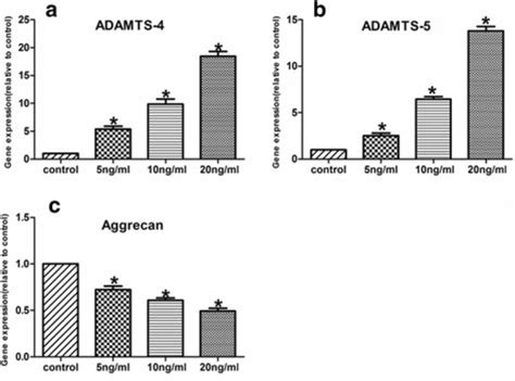 Expression And Cytokine Dependency Of Adamts 4 Adamts 5 And Aggrecan