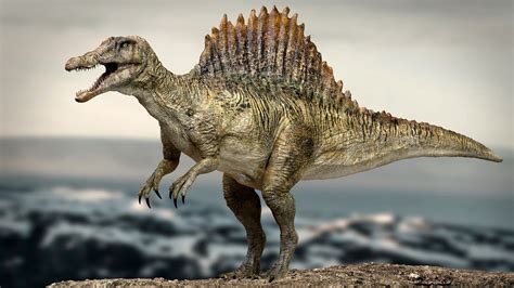 Spinosaurus Rigged 3d Model
