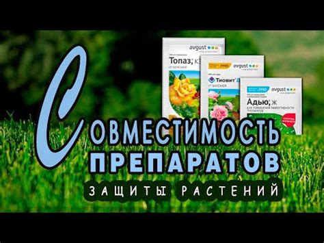 Как смешивать препараты от болезней и вредителей? | DIY - как сделать ...