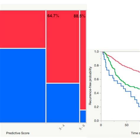 The Predictive Score Consists Of The Sum Of The Following Factors Male