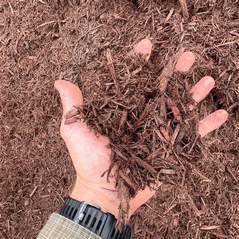 Mulch Premium Dyed Brown Pinestraw Place