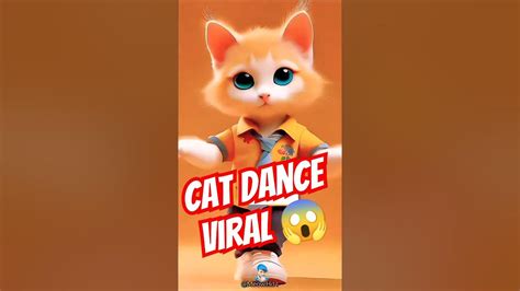 Tik Tok Cat Dance Video Cat Dance 😻😂 ️ Cat Cute Tiktok Shortsfeed