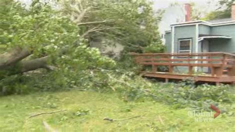 Arrivecan Related ‘issue Impacted Us Crews At Border During Storm