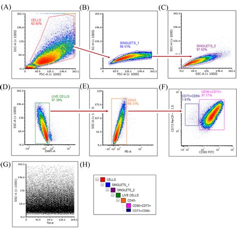 Single Cell Sorting Of Immunophenotyped Mesenchymal Stem Cells From Human Exfoliated Deciduous