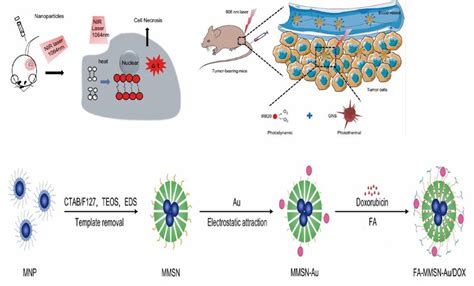The Operating Principle Of Nanomaterials In Tumor Photothermal Therapy