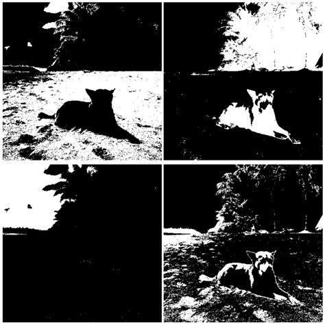 Python图像实例分割库 Python图像分割代码桃太郎的技术博客51cto博客