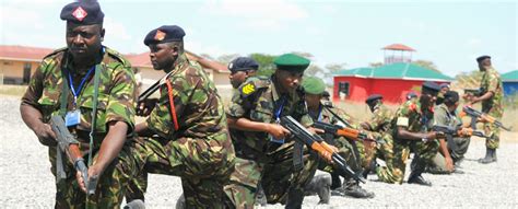 Optimizing Africas Force Structures