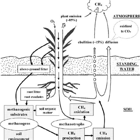 Conceptual Explanation For Modeling The Processes Of Methane Download Scientific Diagram