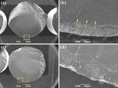 Fracture Morphologies Of The Samples With Different Surface Condiions