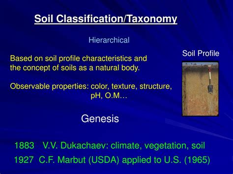 PPT Soil Morphology And Classification PowerPoint Presentation Free Download ID 270175