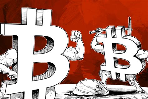 Bitcoin The Self Securing Network Op Ed