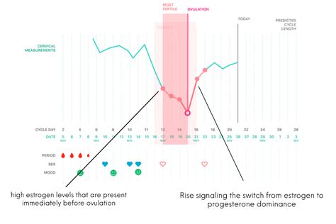 Interpreting Your Fertility Insight By Kegg Medium