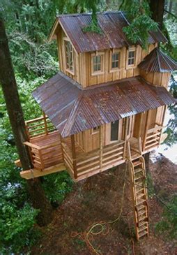 Life In Rehab Treehouse Porn