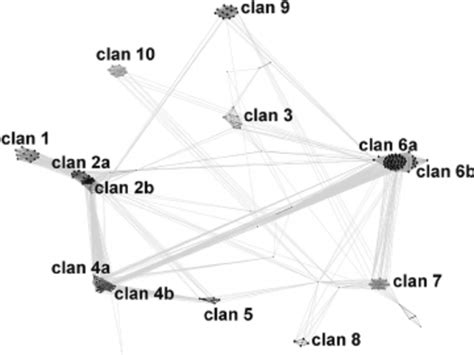 Two Dimensional Projection Of Clans Clustering Results Were Obtained