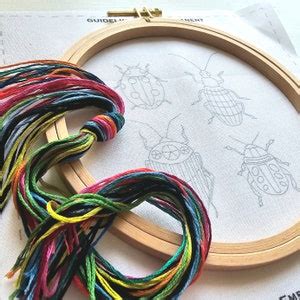Colorful Bug Sampler DIY Hand Embroidery Kit Beetle Collection