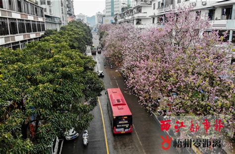 绿意盈盈