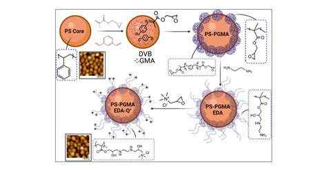 Synthesis Of Raspberry Like Nanoparticles Via Surface Grafting Of Positively Charged