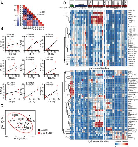 Dysregulated Ifn γ Signals Promote Autoimmunity In Stat1 Gain Of