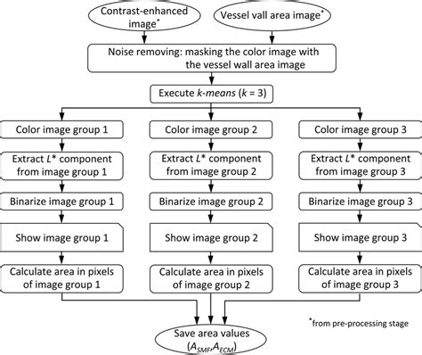 Flow Chart Of Image Feature Extraction Stage Download Scientific Diagram
