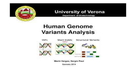 Pdf Human Genome Variants Analysis Bioinformaticsmolsimsciunivrit2014bioinfo2genomica