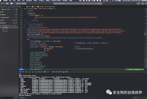 Elf文件注入shellcode原理与实现elf和shellcode Csdn博客