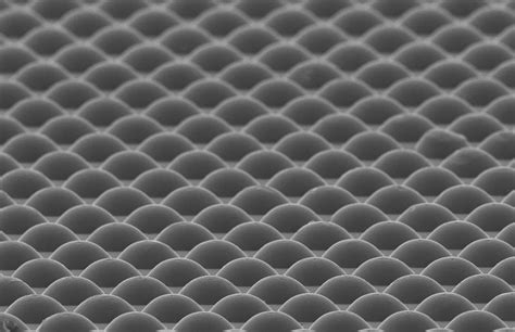 microlens arrays