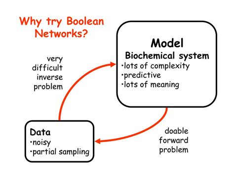 Ppt Boolean Networks And Experiment Design B Cell Single Ligand