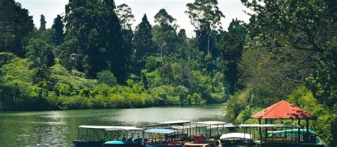Discover The Thrilling Outdoor Summer Adventure At Yercaud